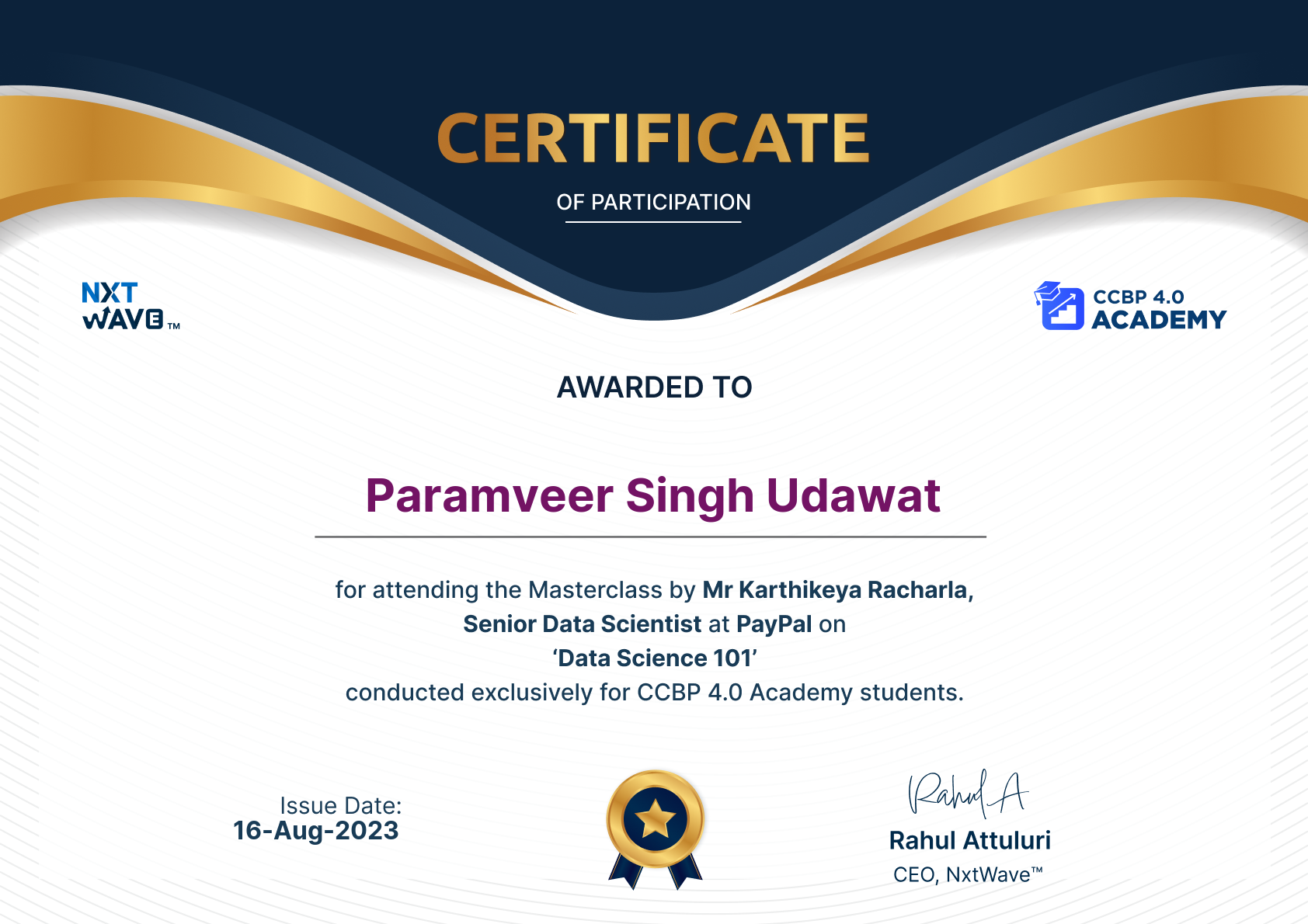 Paramveer Singh Udawat - Fellow at NxtWave’s CCBP 4.0 Academy | Chitkara CSE'26 | Knows Python ...